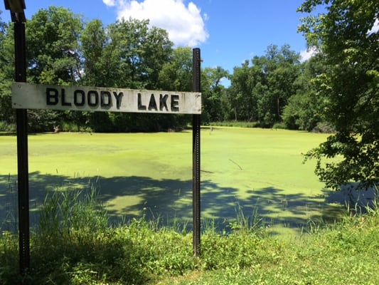 Browntown, WI Map & Directions - MapQuest