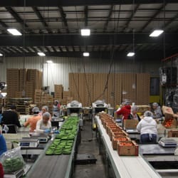 United Fruit and Produce - Fruits & Veggies - 55 Produce Row, Near ...