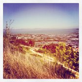 Sign Hill Park - 154 Photos & 51 Reviews - Hiking - 650 Poplar Ave ...