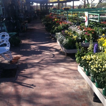 Mesquite Valley Growers Nursery - 205 Photos & 81 Reviews - Nurseries ...