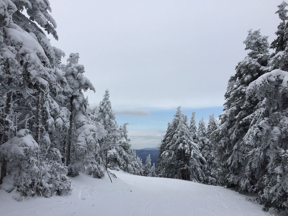 Mount Snow - 69 Photos & 112 Reviews - Ski Resorts - 39 Mount Snow Rd ...