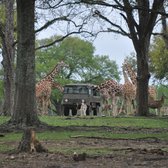 Global Wildlife Center - 186 Photos & 44 Reviews - Zoos - 26389 Hwy 40 ...