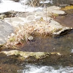 Valley Falls Park - 72 Photos & 21 Reviews - Parks - 300 Valley Falls ...