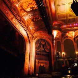 Orpheum Theatre - Check Availability - 514 Photos & 275 Reviews - Music Venues - Downtown - Los ...