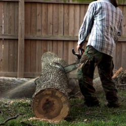 Eager Beaver Tree Service - 10 Photos - Tree Services - 2112 Dale St N ...