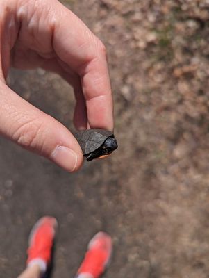 Sandyston, NJ Map & Directions - MapQuest