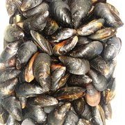 Ocean Plus Fish Market - 302 Photos & 44 Reviews - Seafood Markets ...