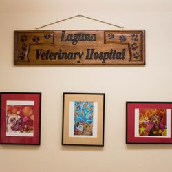 Laguna Veterinary Hospital - 11 Photos & 33 Reviews - Veterinarians - 5341 Hwy 12, Santa Rosa ...