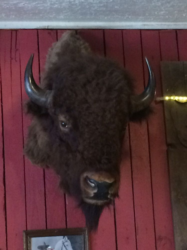 Buffalo Bar & Grill - 106 Photos & 177 Reviews - American (Traditional ...