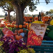 Garver Family Farm Market - 17 Photos - Farmers Market - Reviews ...