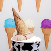 Davis Creamery - 153 Photos & 150 Reviews - Ice Cream & Frozen Yogurt ...