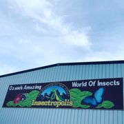 Insectropolis - 21 Photos & 13 Reviews - Children's Museums - 1761 Rte ...