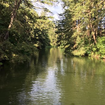 Lacamas Lake - 63 Photos & 16 Reviews - Lakes - 227 NE Lake Rd, Camas ...