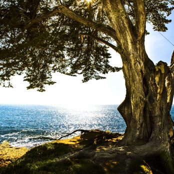 West Cliff Drive - 294 Photos & 150 Reviews - Beaches - 174 W Cliff Dr ...