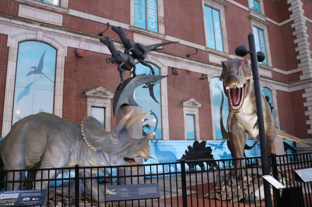 Academy of Natural Sciences - 73 Photos & 82 Reviews - Museums - 1900 ...