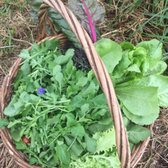 O’o Farms - 337 Photos & 127 Reviews - Food Tours - 651 Waipoli Rd ...