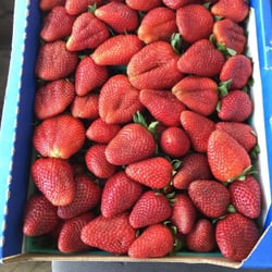 Starberry Farms - 15 Photos & 21 Reviews - Fruits & Veggies - 264 E ...