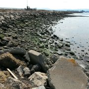 Dumbarton Pier - 47 Photos & 13 Reviews - Parks - 9500 Thornton Ave ...