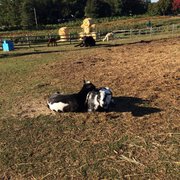 Tendercrop Farm - 28 Photos & 56 Reviews - Farmers Market - 108 High Rd ...