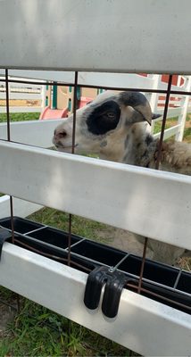 Taylor, MI Map & Directions - MapQuest