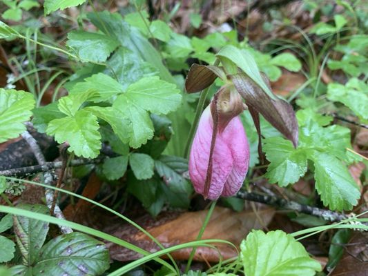 Allenstown, NH Map & Directions - MapQuest