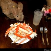 Seaport Buffet - 259 Photos & 166 Reviews - Buffets - 2027 Emmons Ave ...