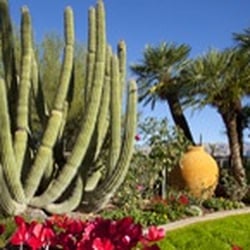 Plants of Distinction - Nurseries & Gardening - 6930 E Tanque Verde Rd ...