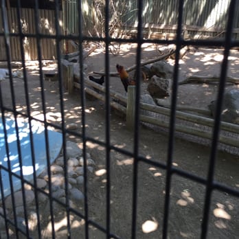 Applegate Park Zoo - 101 Photos & 30 Reviews - Zoos - 1045 W 25th St ...