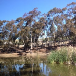 Scripps Library Pond - Hiking - 10301 Scripps Lake Dr, Scripps Ranch ...