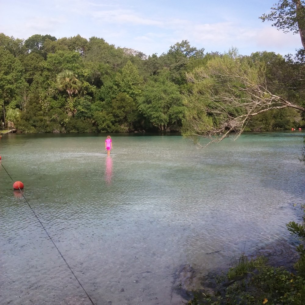 Silver Glen Springs - 89 Photos - Parks - 5271 Florida 19, Salt Springs ...