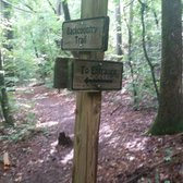 Big Trees Forest Preserve - Last Updated June 11, 2017 - 93 Photos & 28 ...