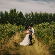 Trezzi Farm Winery - 18 Photos & 10 Reviews - Wineries - 17700 N Dunn ...