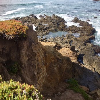 Fiscalini Ranch Preserve - 200 Photos & 60 Reviews - Beaches - Cambria ...