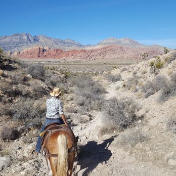 Cowboy Trail Rides - 95 Photos & 42 Reviews - Horseback Riding - 4053 ...
