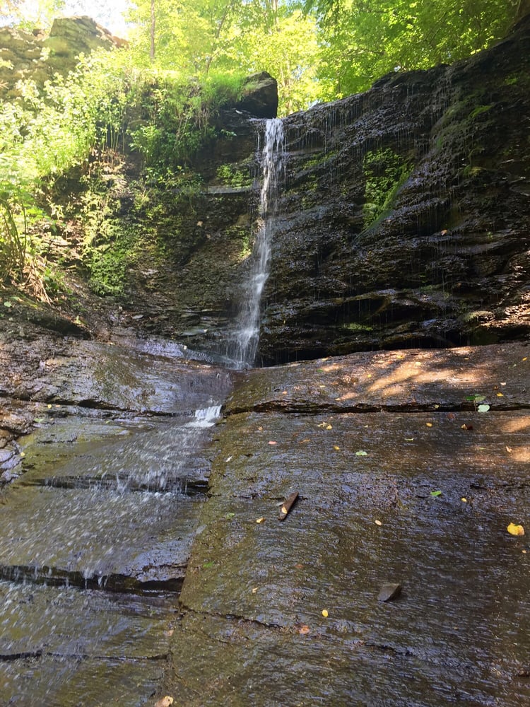 Fall Run Park - 18 Photos - Parks - 187 Falls Run Trl, Glenshaw, PA ...