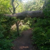 River Place Nature Trail - 333 Photos & 168 Reviews - Hiking - 8830 Big ...
