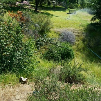 UCR Botanic Gardens - 358 Photos & 70 Reviews - Botanical Gardens - 900 ...