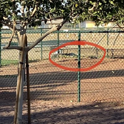 Helendale, CA Map & Directions - MapQuest