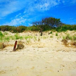 Higbee Beach Wildlife Management Area - 30 Photos - Beaches - County ...