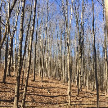 Mitchell Memorial Forest - 2019 All You Need to Know BEFORE You Go ...