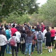 Orange County Ropes Course - 18 Photos - Challenge Courses - 24001 E ...