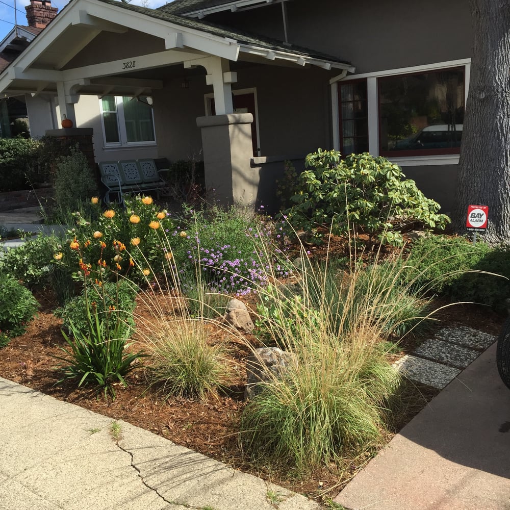 Native Sun Gardens - 19 Photos - Landscape Architects - Civic Center ...