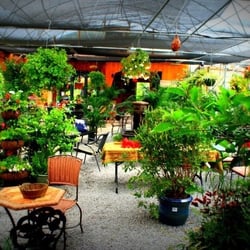 Origins Cafe - 47 Photos & 33 Reviews - Cafes - 558 Beavermeadow Rd ...