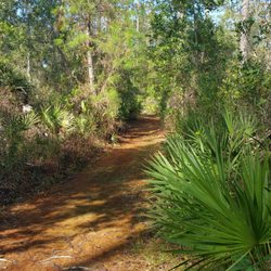 Seminole County-Econ River Wilderness Area - 20 Photos - Parks - 3763 ...