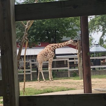 Henry Vilas Park Zoo - 270 Photos & 171 Reviews - Zoos - 702 S Randall ...