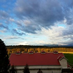 Carnation Farms - Attraction Farms - 28901 NE Carnation Farm, Carnation ...