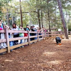 Chehaw Park - 57 Photos & 14 Reviews - Parks - 105 Chehaw Park Rd ...