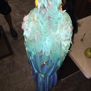 Magnolia Bird Farm - 56 Photos & 95 Reviews - Pet Stores - 8990 ...