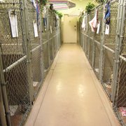 Four Paws Inn - 57 Photos & 38 Reviews - Pet Sitting - 3500 W Ramsey St ...