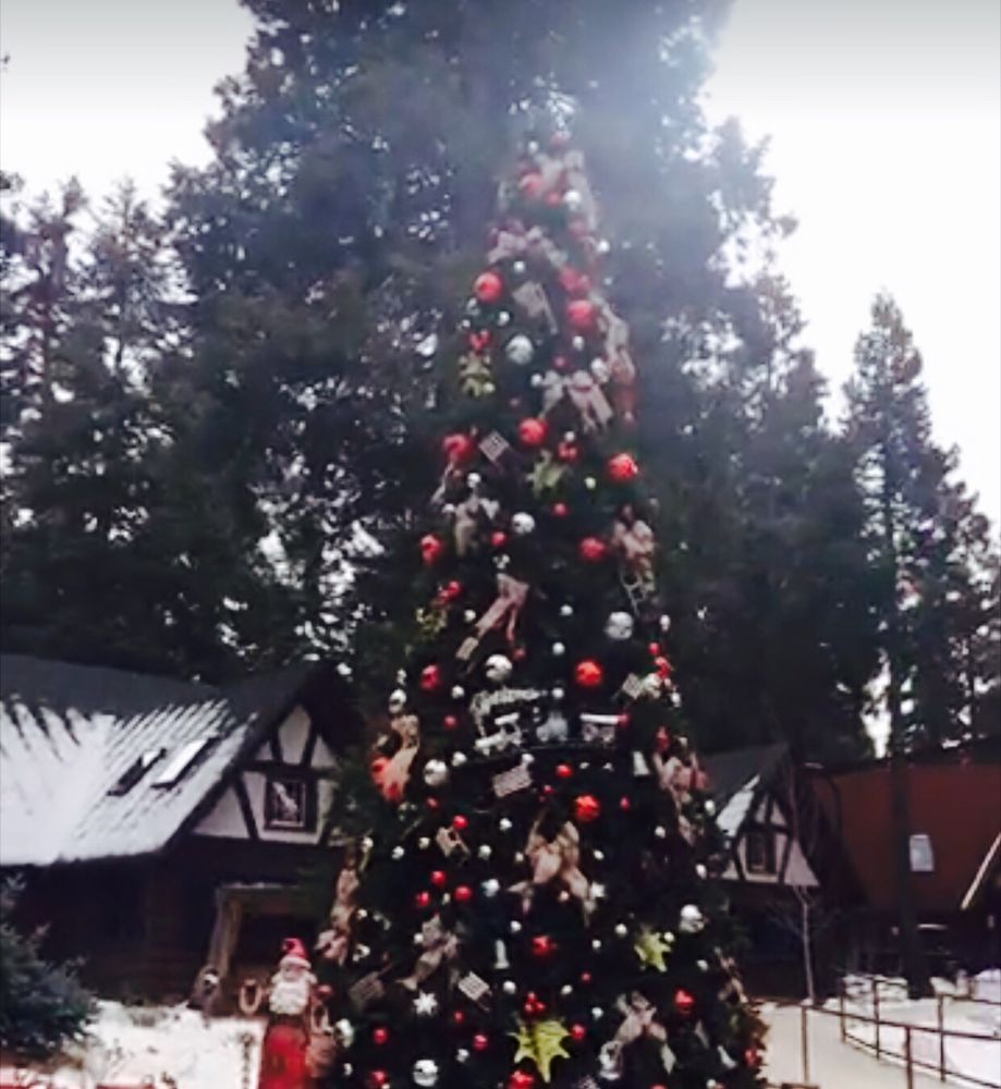 SkyPark at Santa’s Village - 185 Photos & 46 Reviews - Amusement Parks ...